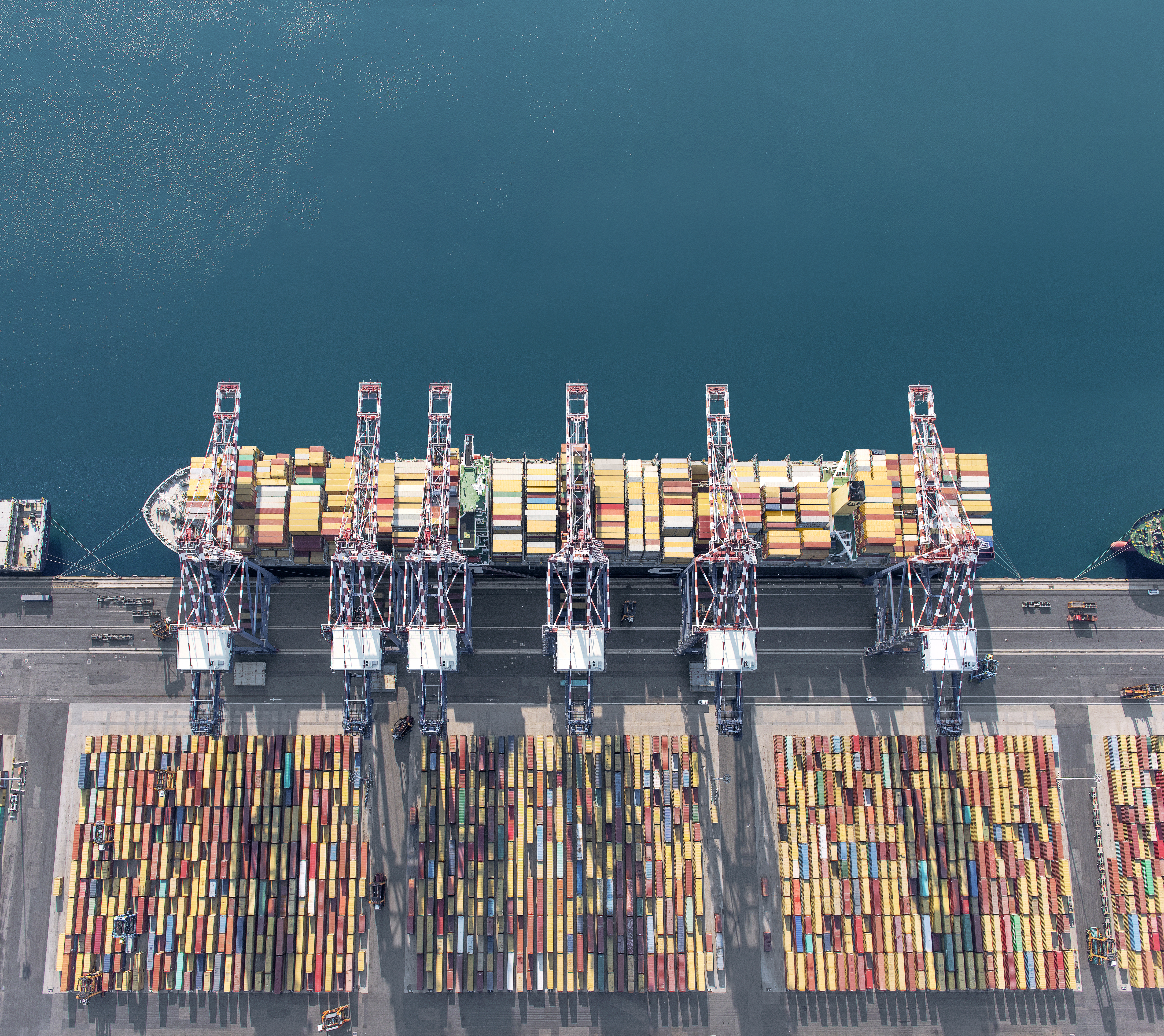 A Brief History of The MSC Group - Medlog