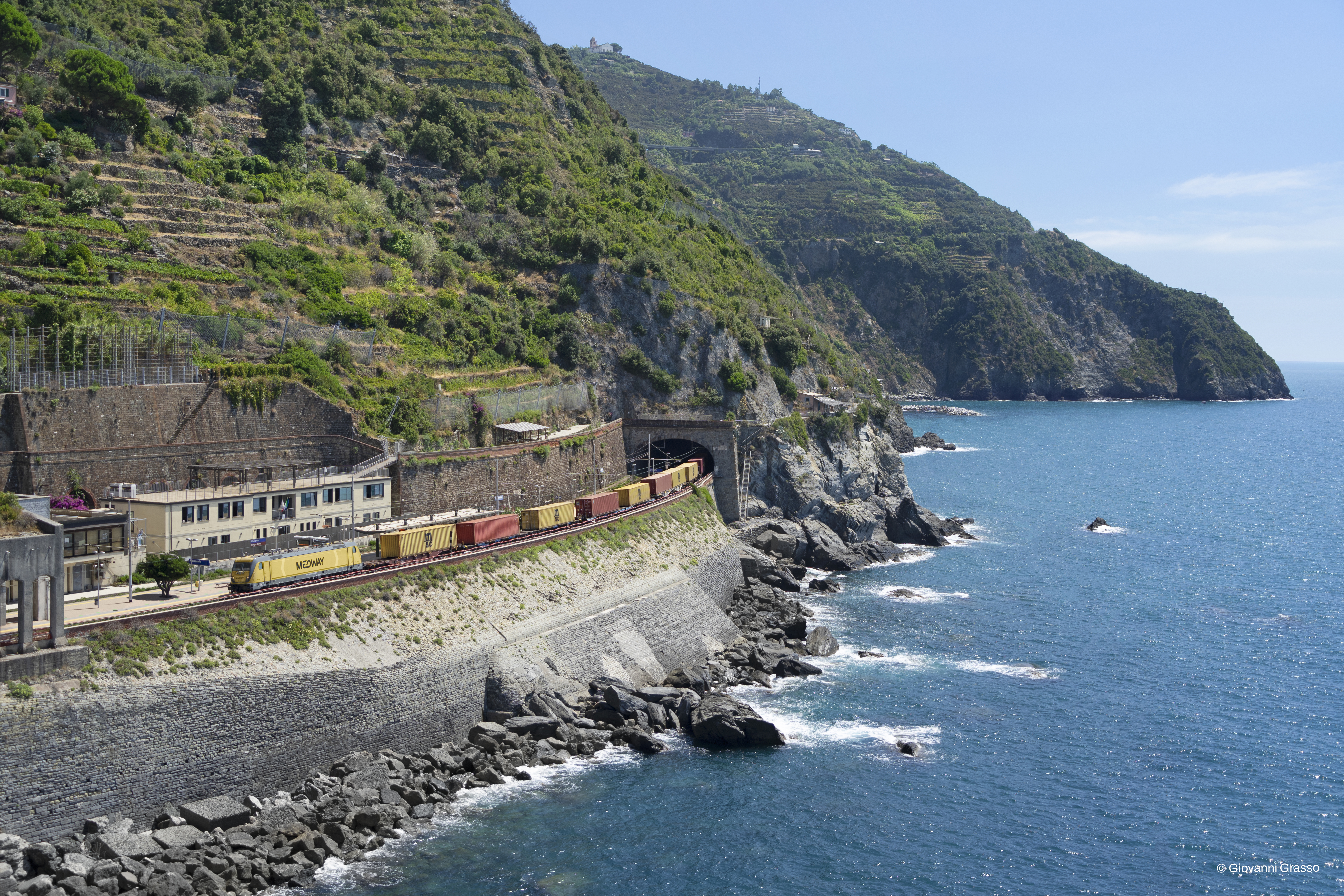 A Brief History of The MSC Group - Medlog